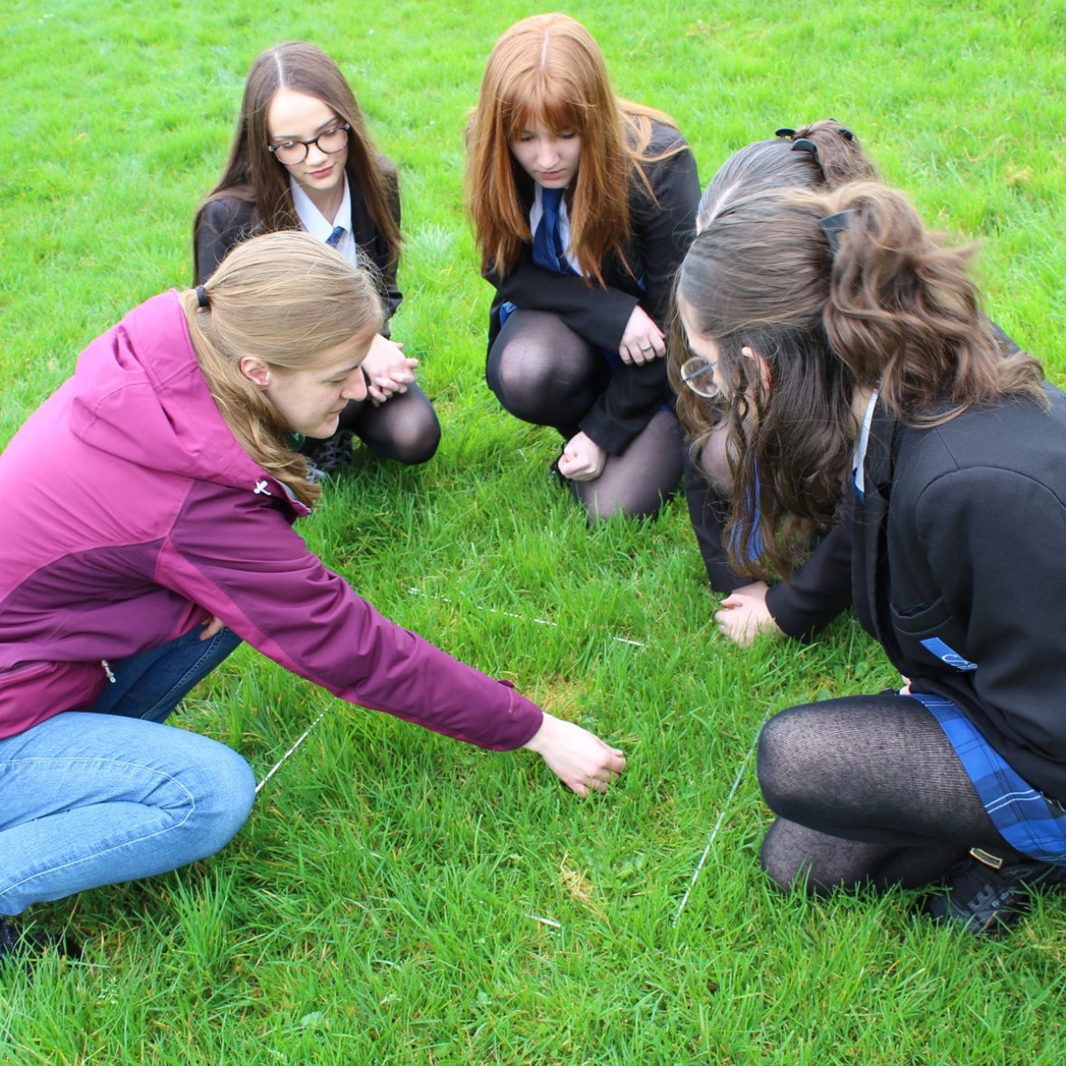 Stoke Damerel Community College - Students Dive into Biodiversity day